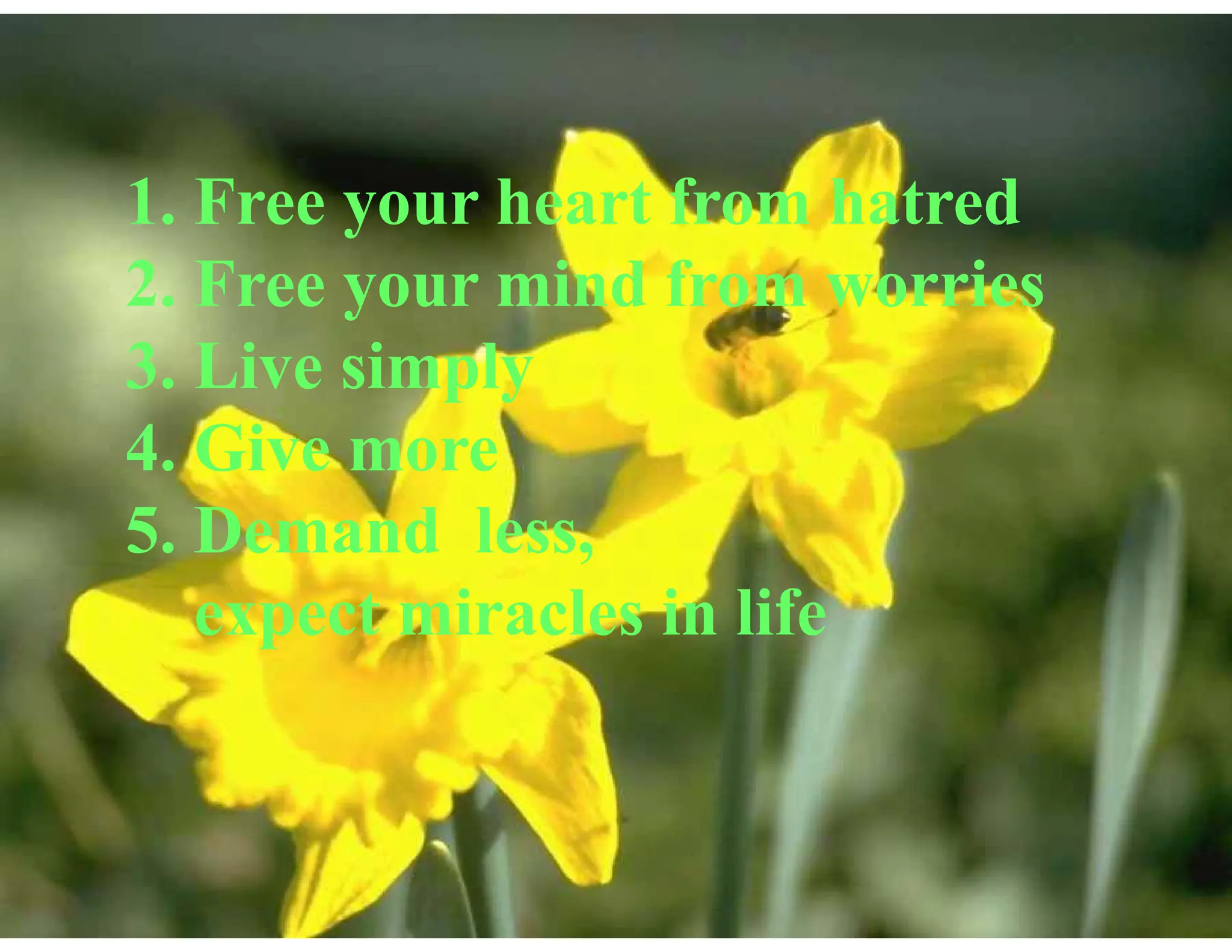5 Rules in Life > Remember the five simple rules to be happy | PPT