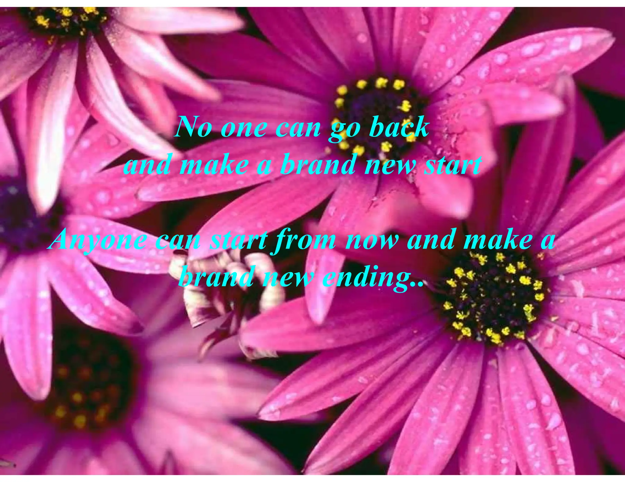 5 Rules in Life > Remember the five simple rules to be happy | PDF