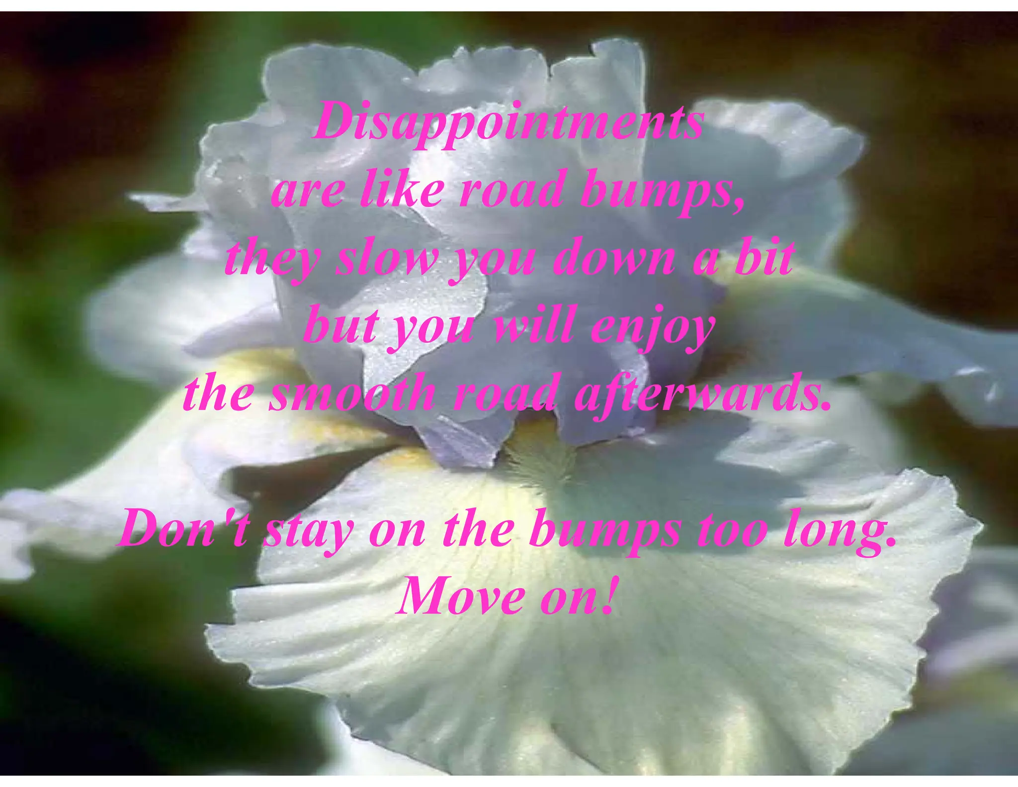 5 Rules in Life > Remember the five simple rules to be happy | PDF