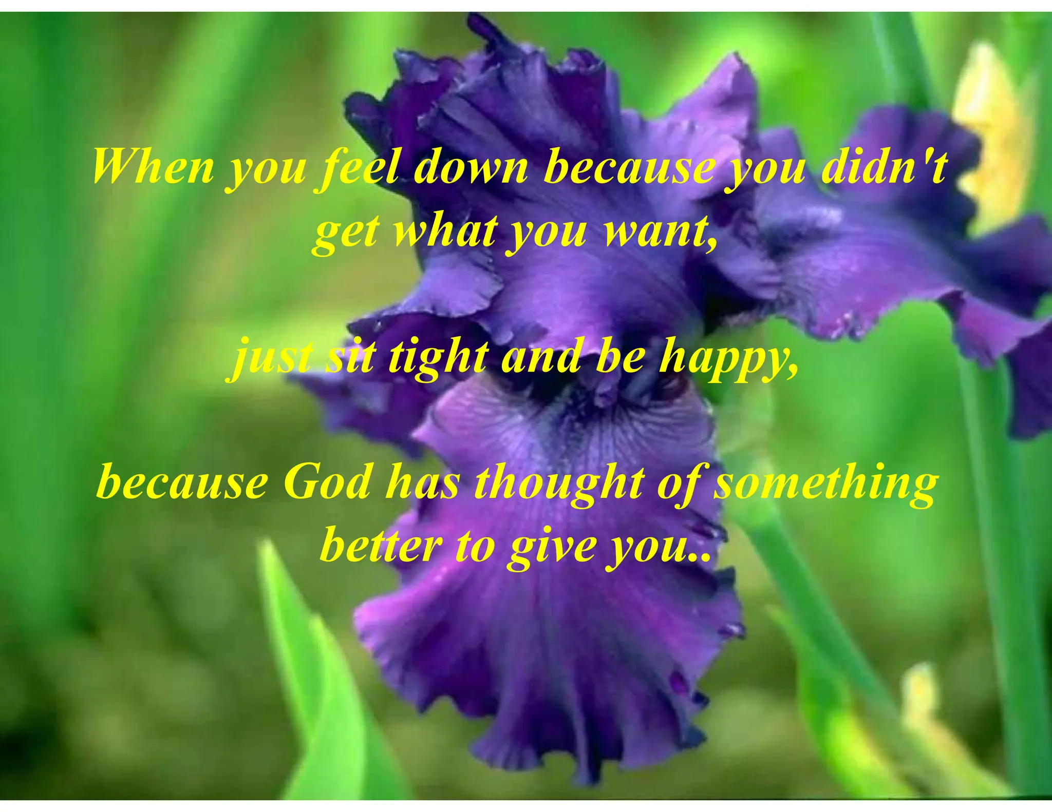 5 Rules in Life > Remember the five simple rules to be happy | PDF