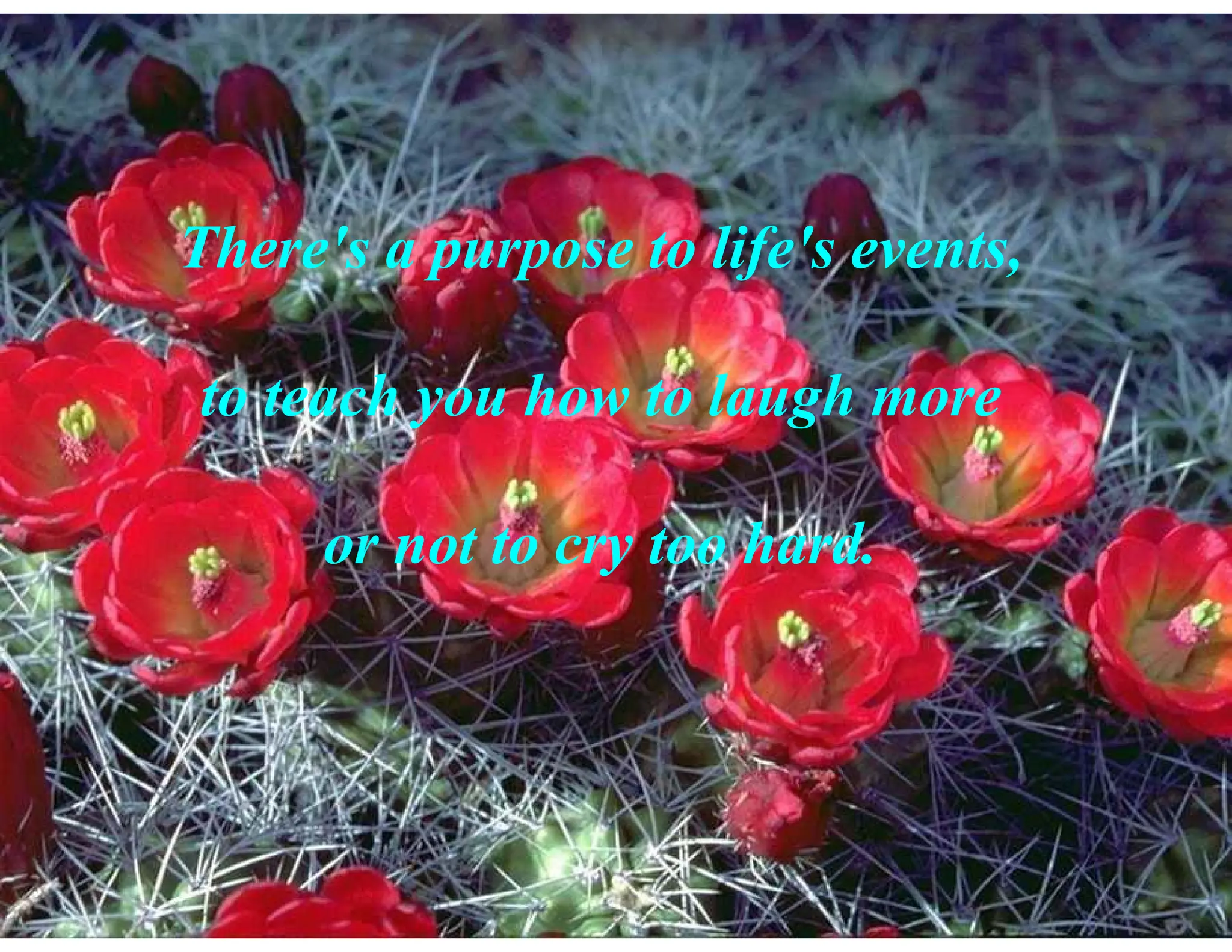 5 Rules in Life > Remember the five simple rules to be happy | PDF