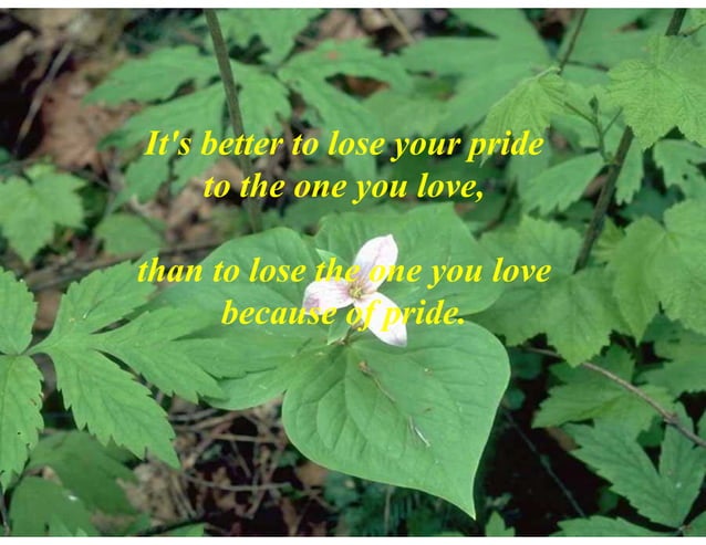 5 Rules in Life > Remember the five simple rules to be happy | PDF