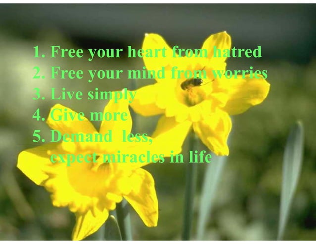 5 Rules in Life > Remember the five simple rules to be happy | PPT