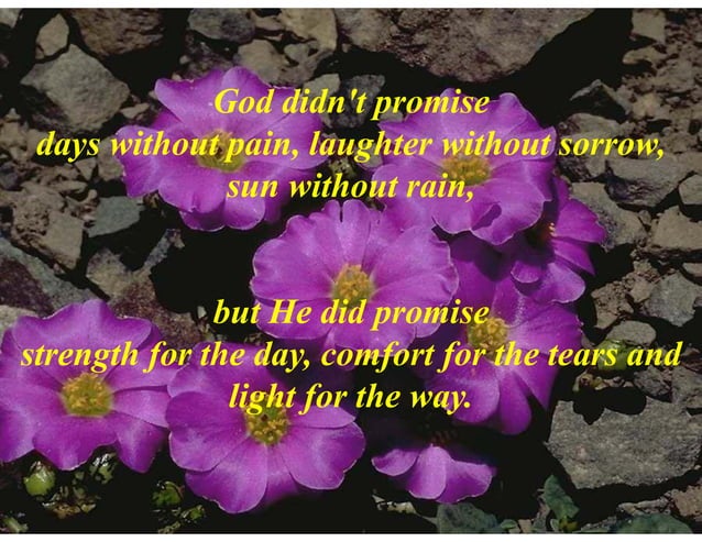 5 Rules in Life > Remember the five simple rules to be happy | PPT