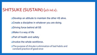 5 S Work Place Organizer | PPT