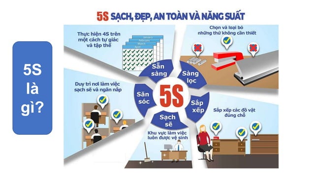 5S.pptx
