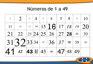Treinamento 5S - Jogo dos Números (Haroldo Ribeiro) | PPT