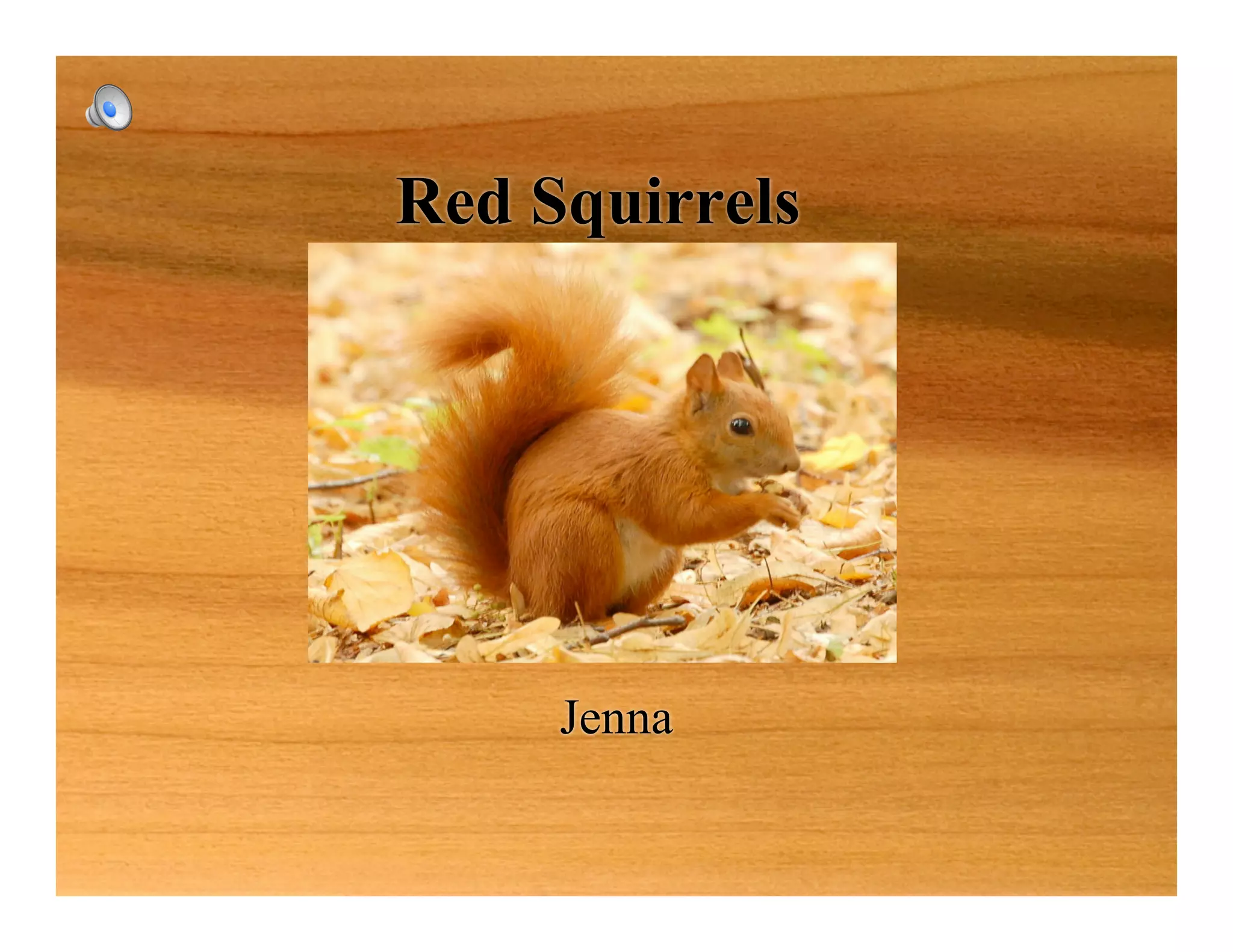 5 S Squirrel | PDF | Birds | Pets