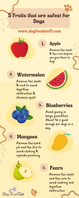 5 Safest fruits for dogs-dogfoodstuff.pdf