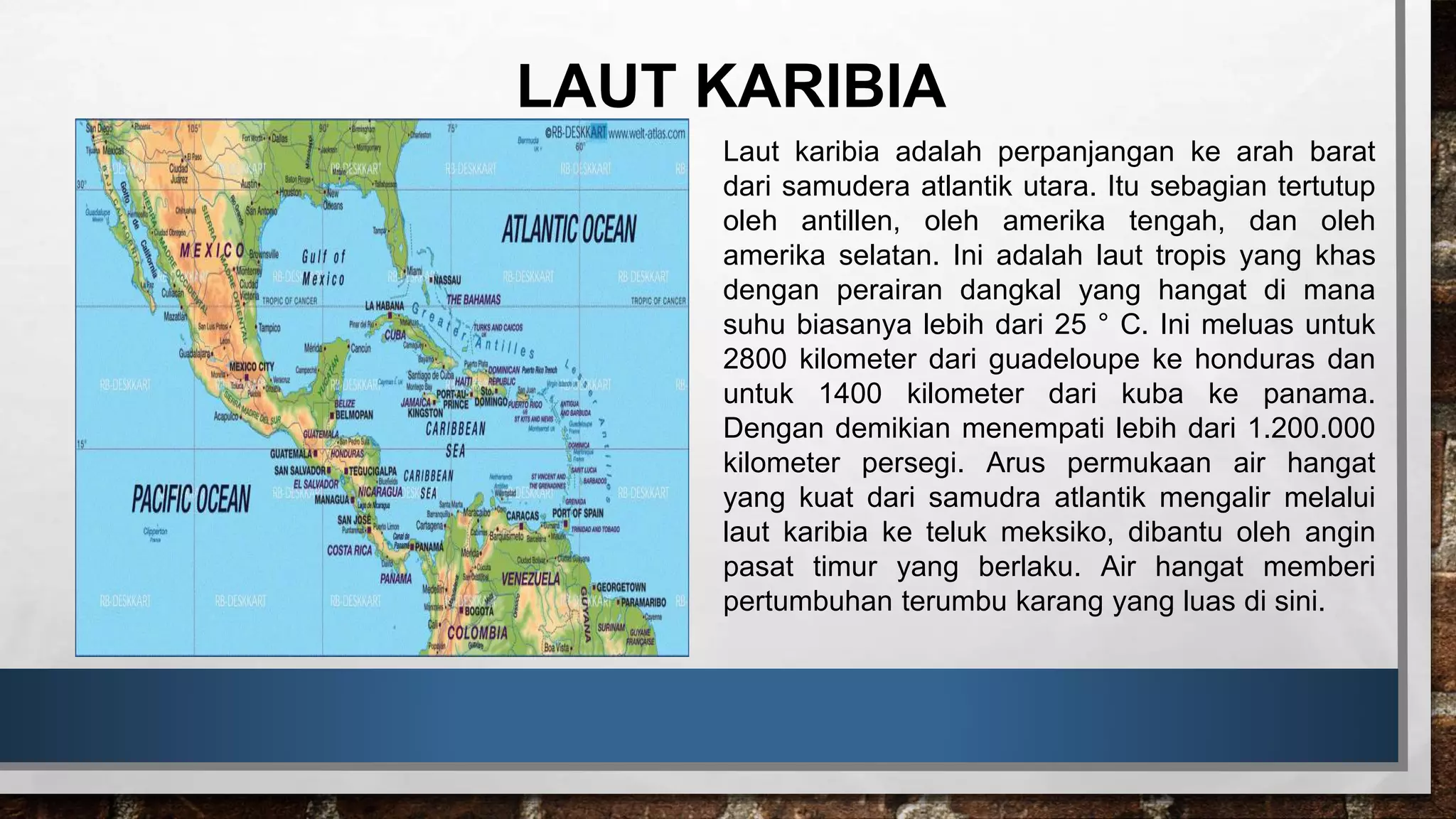 5 samudra utama dan laut besar di bumi | PPTX
