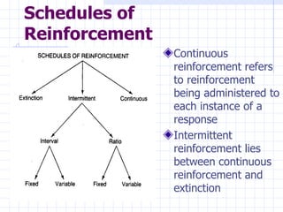 schedules of reinforcement | PPT