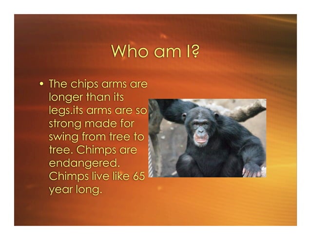 5s Chimpanzee | PDF | Biological Sciences | Science