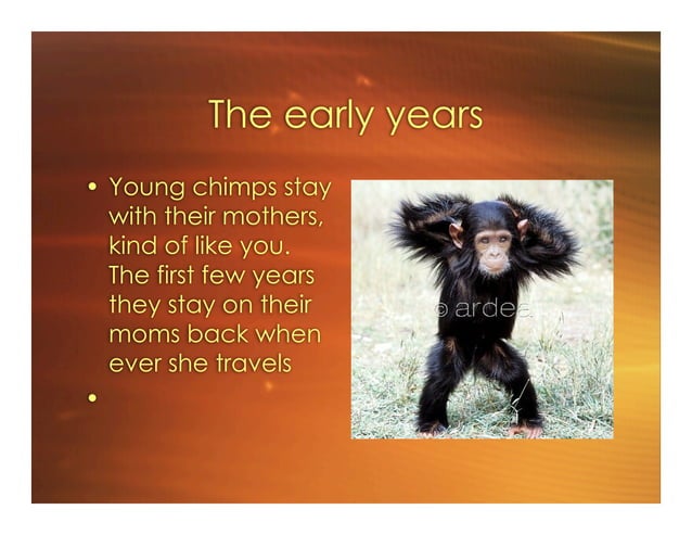 5s Chimpanzee | PDF | Biological Sciences | Science