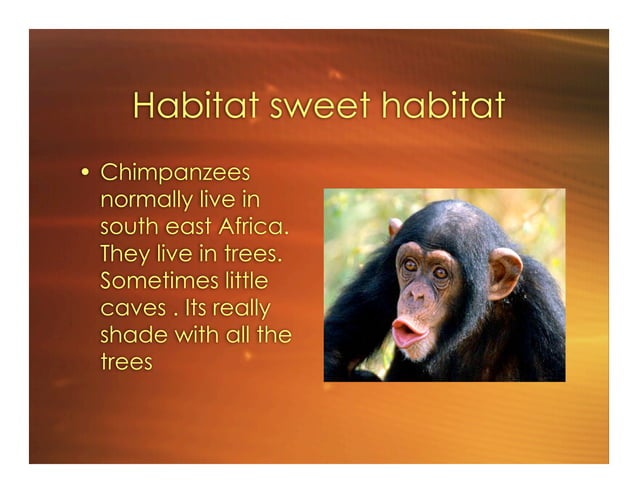 5s Chimpanzee | PDF | Biological Sciences | Science