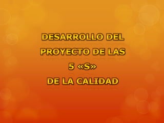 Proyecto 5 s de la calidad | PPTX