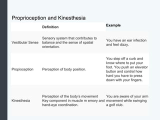 5+SensationandPerception.pptx