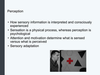 5+SensationandPerception.pptx