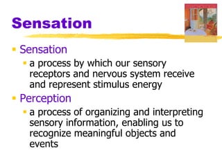 5 sensation pp | PDF