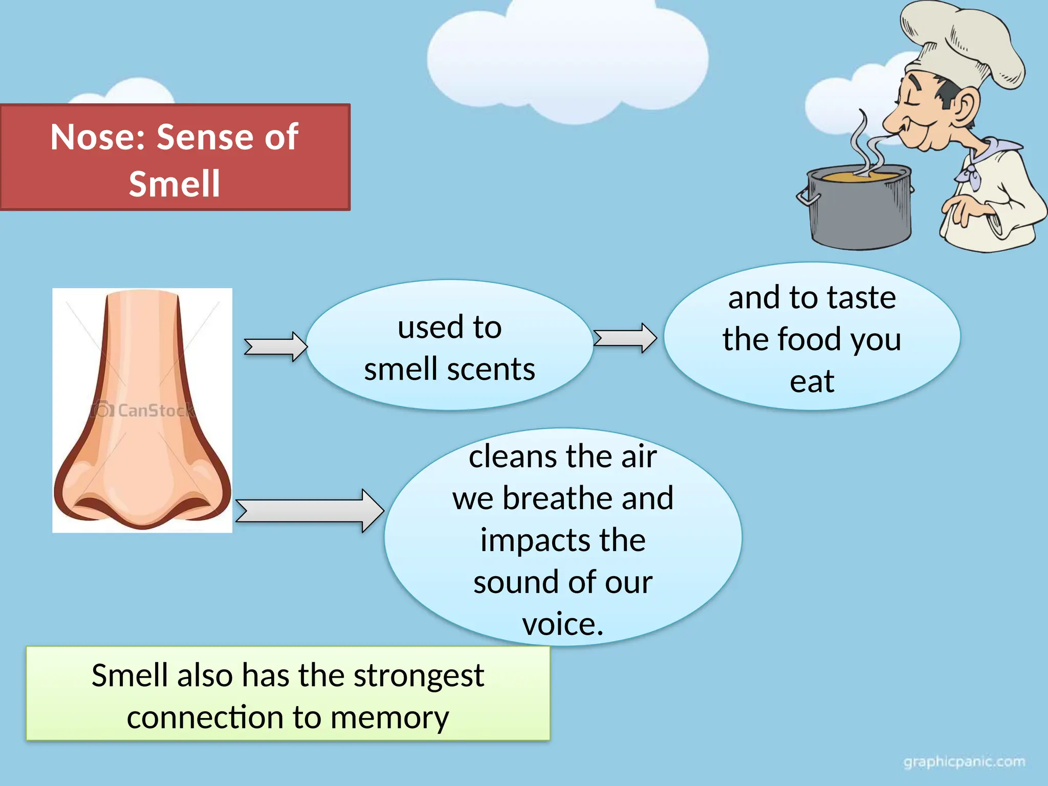 5 SENSE organs of human body that senses | PPTX