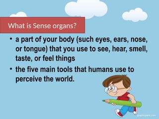 5 SENSE organs of human body that senses | PPTX