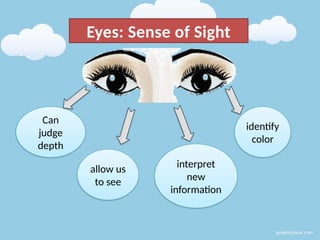 5 SENSE organs of human body that senses | PPTX