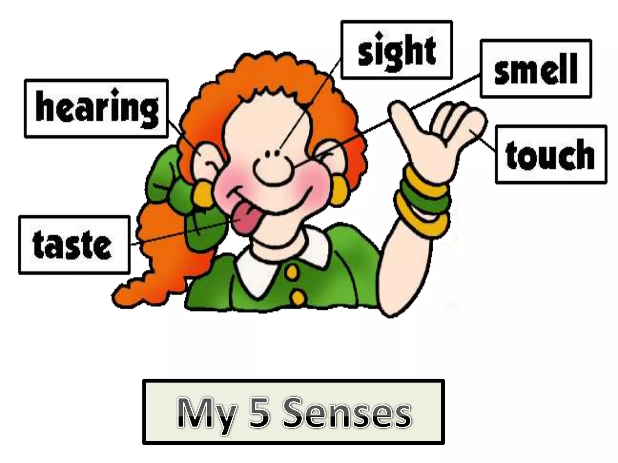 5 senses | PPTX