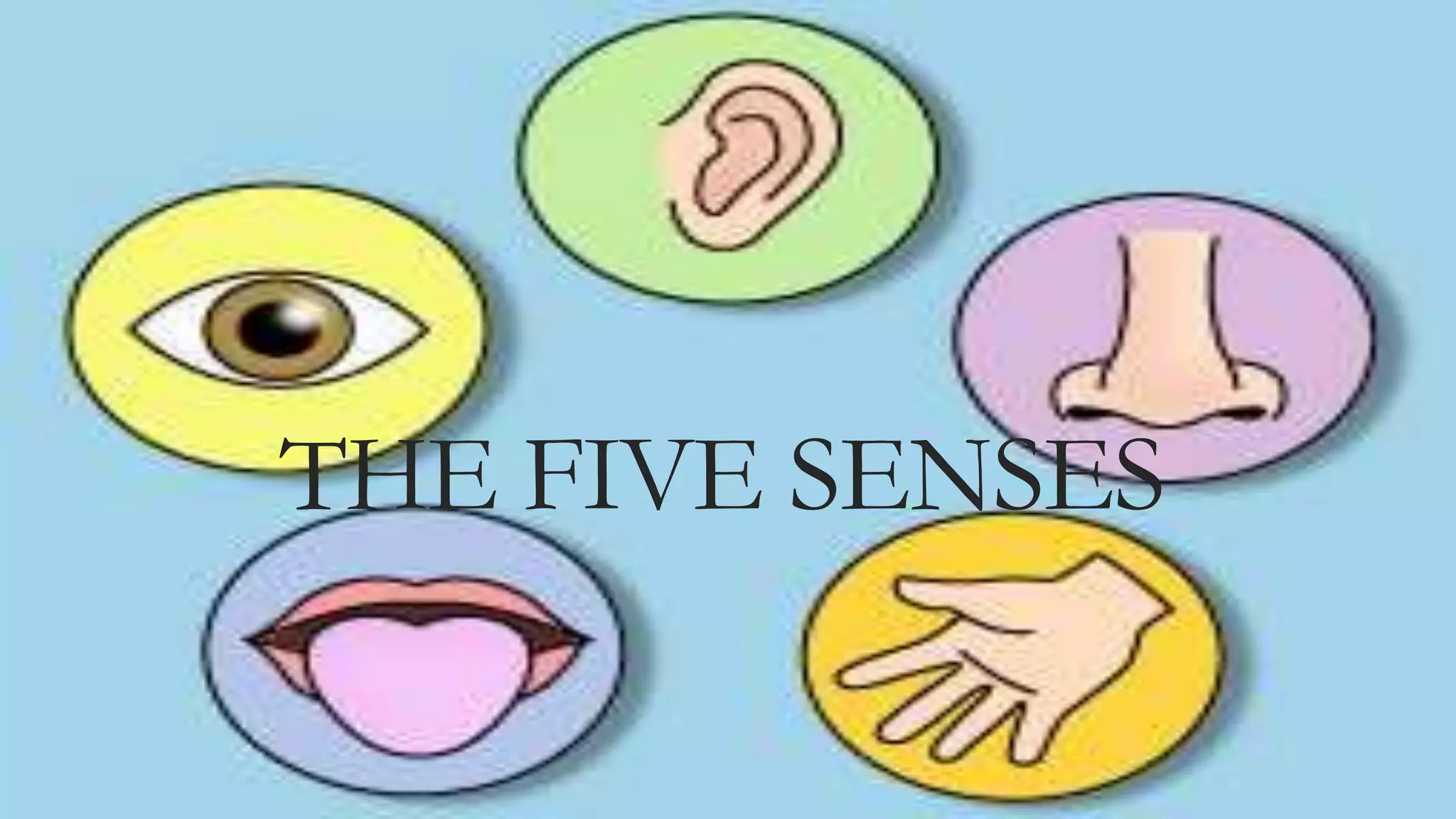 5 senses | PPTX