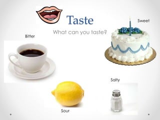 5 senses | PPTX