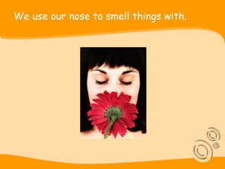 5 senses | PPT