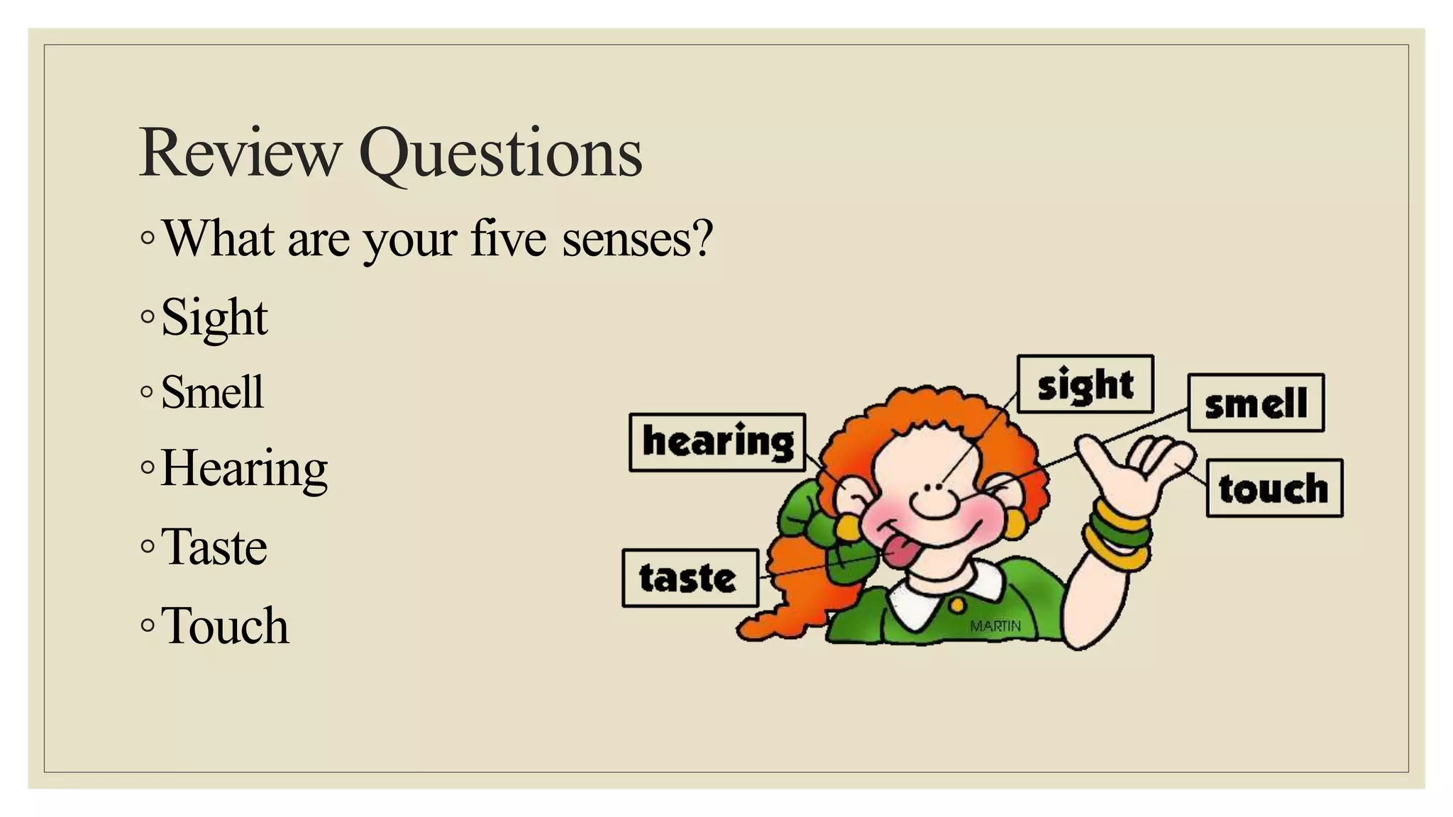 5 senses | PPTX