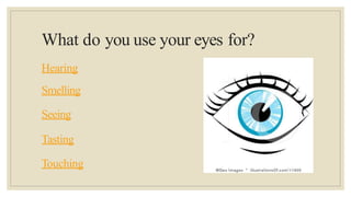 5 senses | PPTX