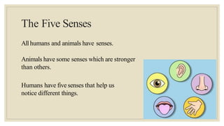 5 senses | PPTX
