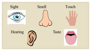 5 senses | PPTX