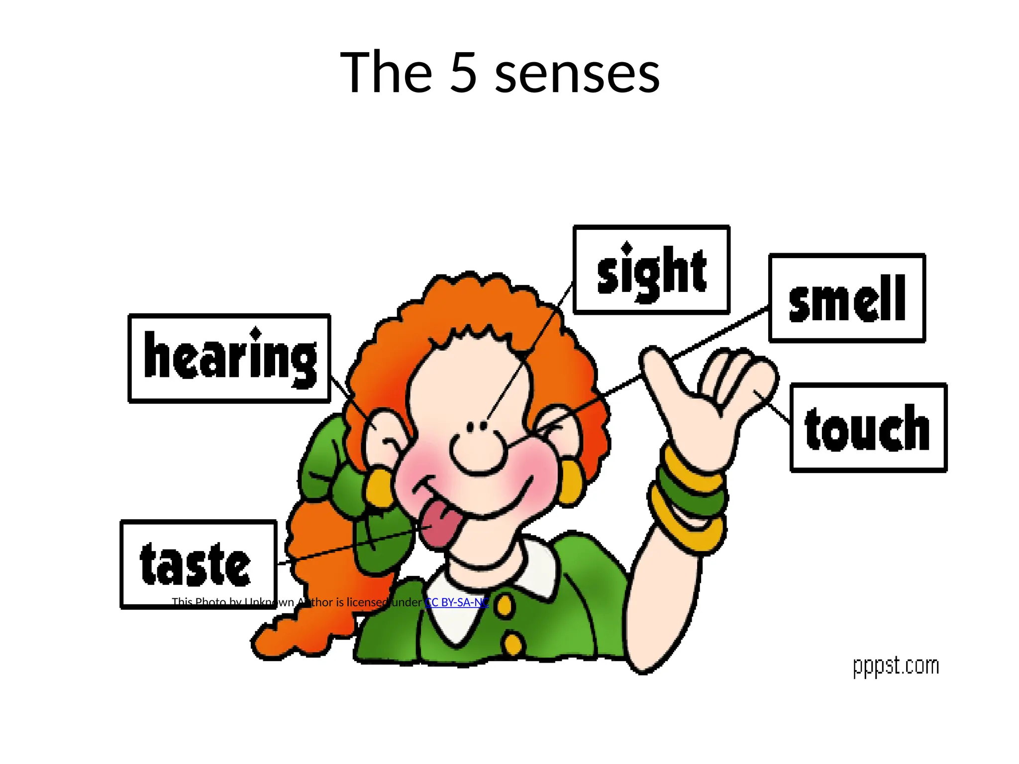 The 5 senses, vocabulary class elementary.pptx