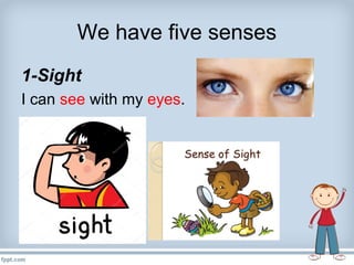 5senses grade kindergarten - ppt and .pdf