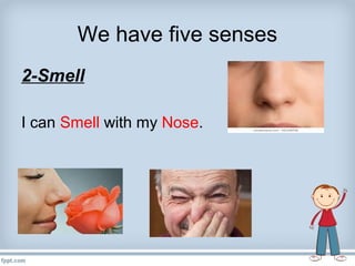 5senses grade kindergarten - ppt and .pdf