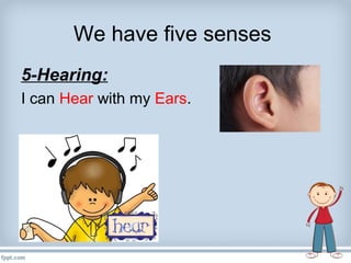 5senses grade kindergarten - ppt and .pdf