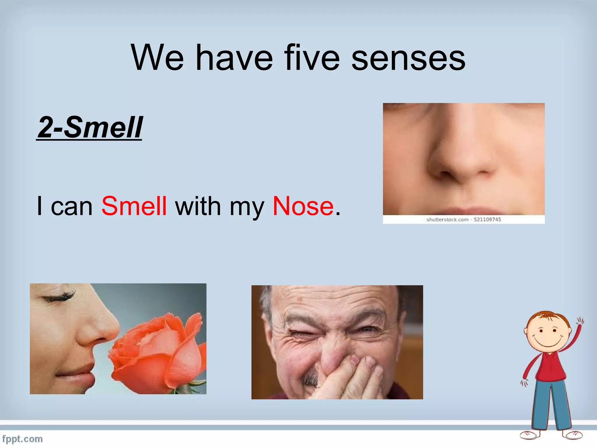5 senses grade 1 | PPT