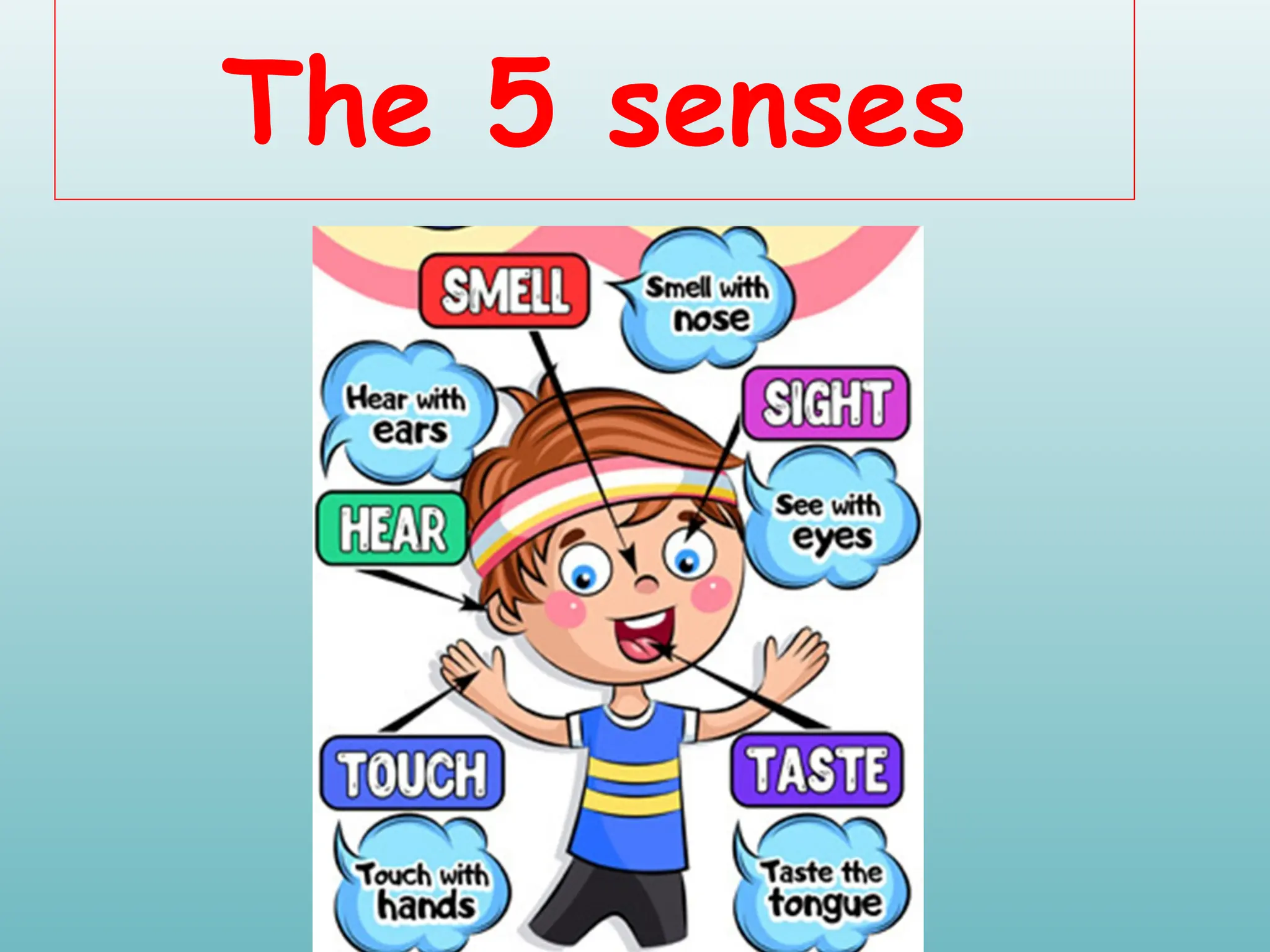 5 senses GRADE 1 global islamic school (1).ppt