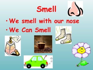 5 senses GRADE 1 global islamic school (1).ppt