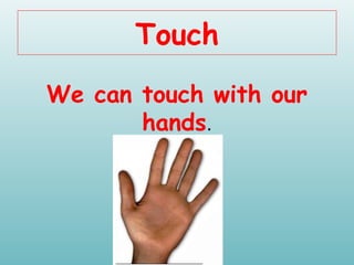 5 senses GRADE 1 global islamic school (1).ppt