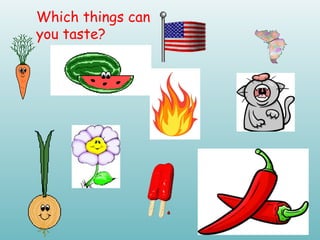 5 senses GRADE 1 global islamic school (1).ppt