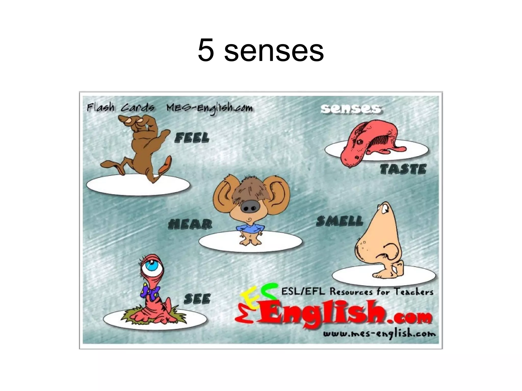 5 senses Flashcards Sentences | PPT