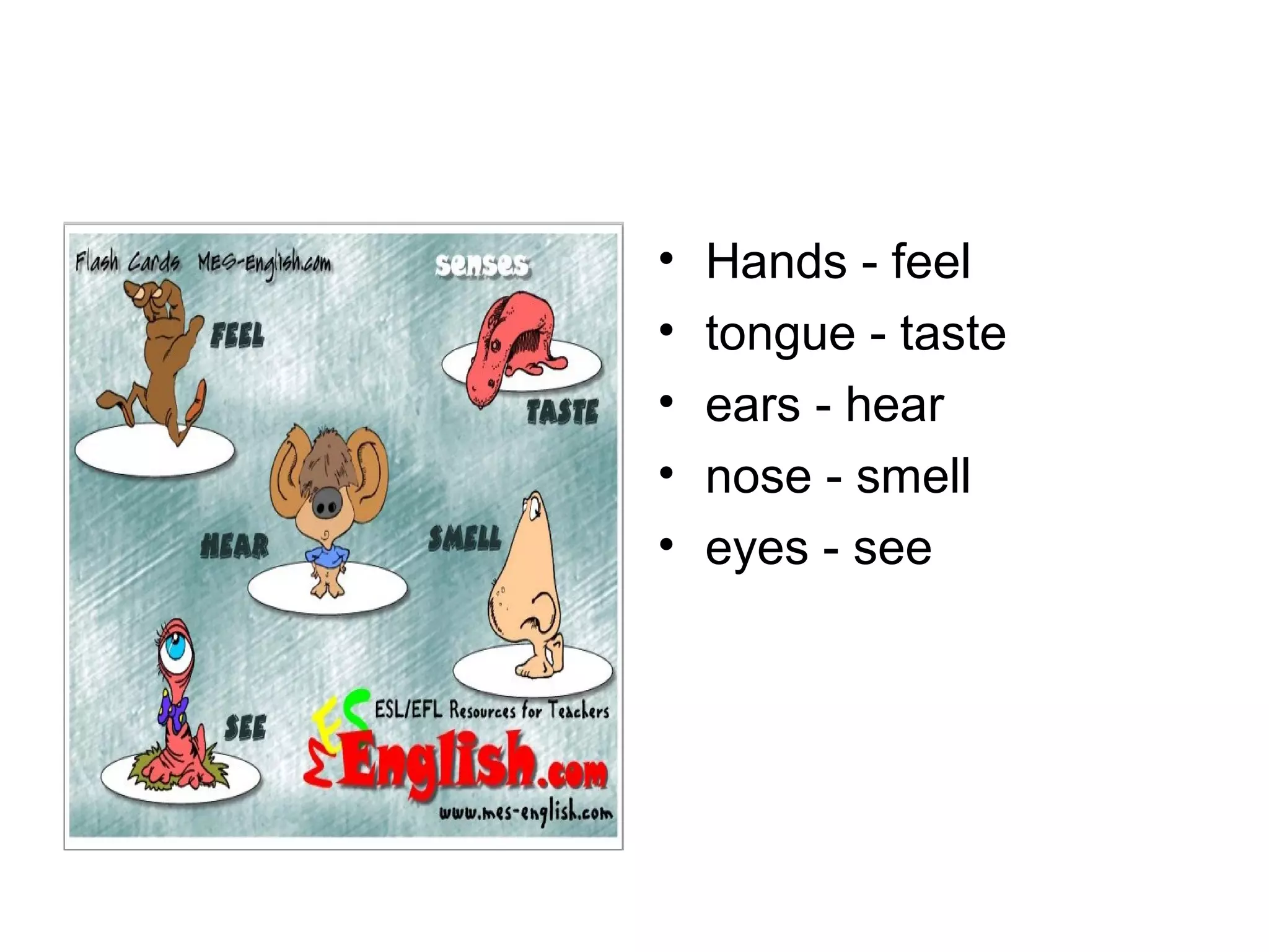 5 senses Flashcards Sentences | PPT