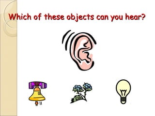 5 senses science f2 | PPT