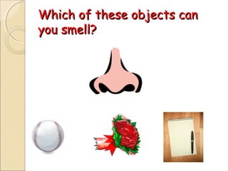 5 senses science f2 | PPT