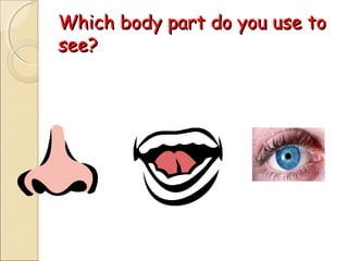 5 senses science f2 | PPT