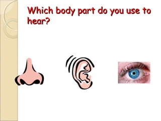 5 senses science f2 | PPT