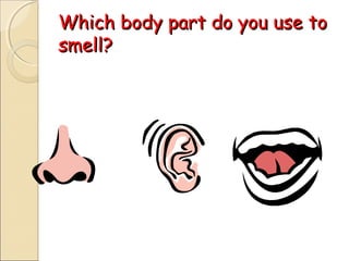 5 senses science f2 | PPT