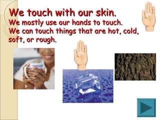 5 senses science f2 | PPT